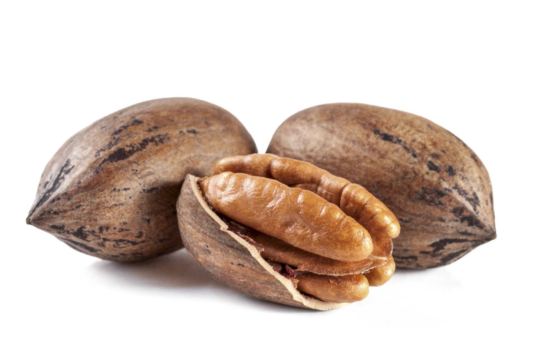 The Pecan Has Become an Enduring Symbol of Texas - Texas Parks ...